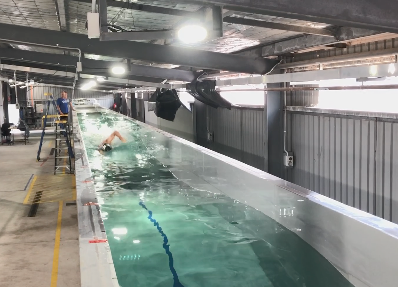 Open Water Swimming in the Swan River : The University of Western Australia