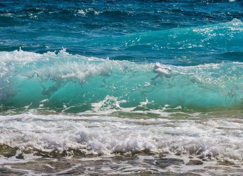 Effect of surface waves on overarm swimming performance and behaviour ...