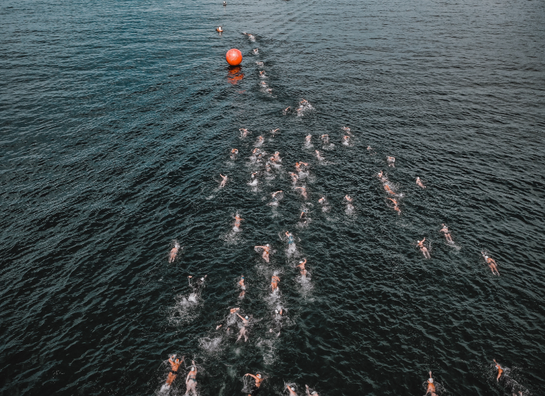 Open Water Swimming - From the river to the Olympics : The University ...