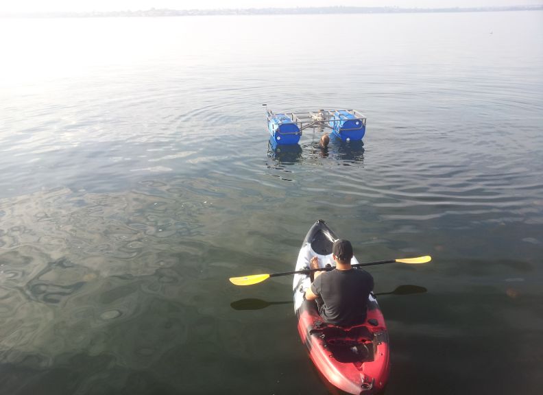 Studying Wave Buoys for Sensing and Renewable Energy : The University ...