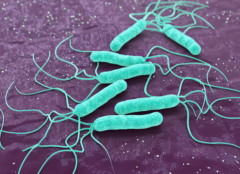 Helicobacter Research Laboratory : The University of Western Australia