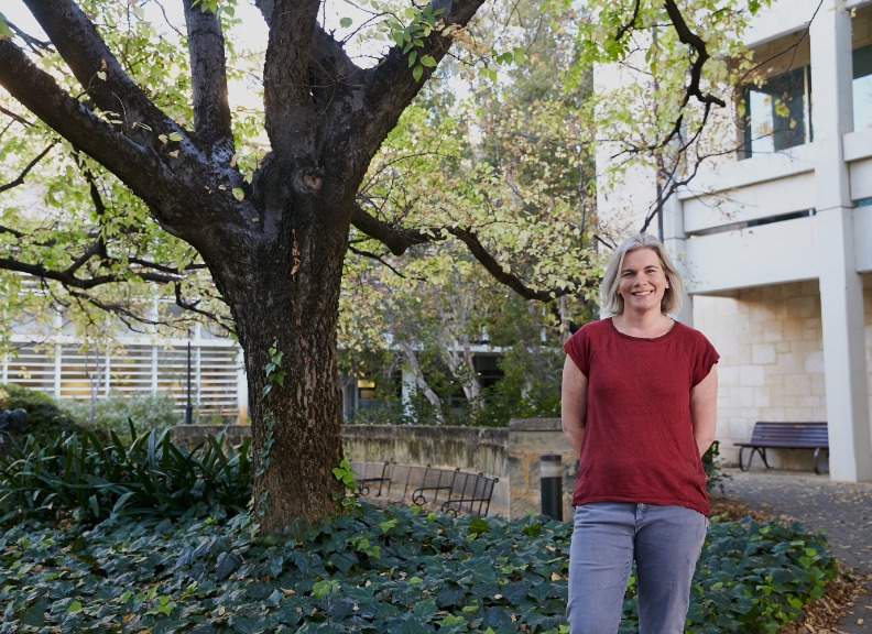 Investigating the role and formation of sub-nuclear bodies in disease ...