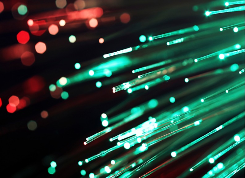 Our schools : The University of Western Australia