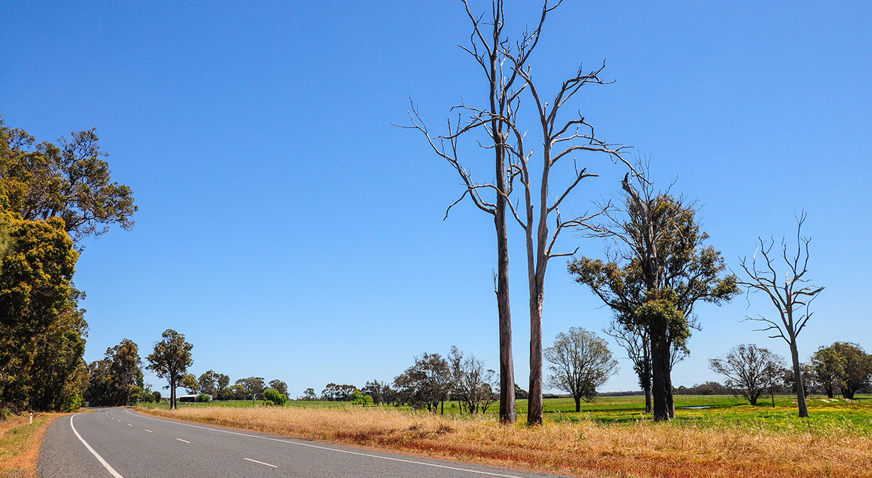 Research Projects : The University of Western Australia