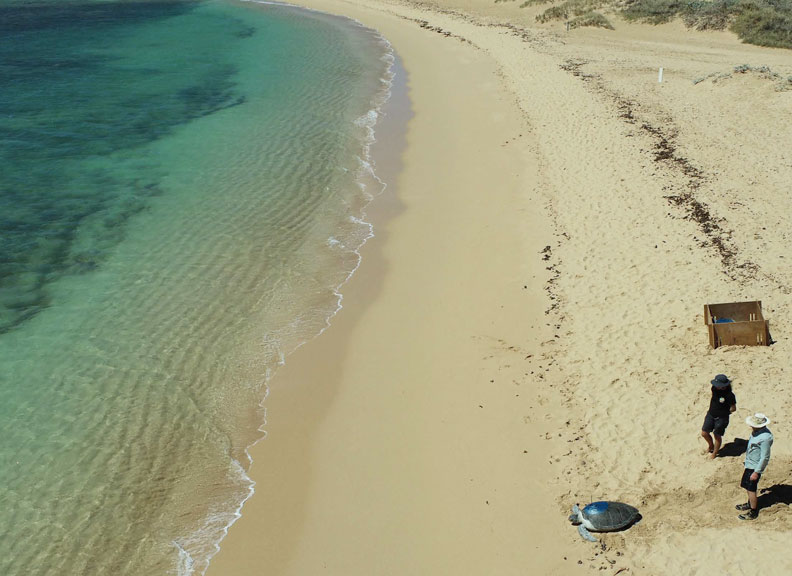 THE OCEAN PROJECT 2024 : The University of Western Australia