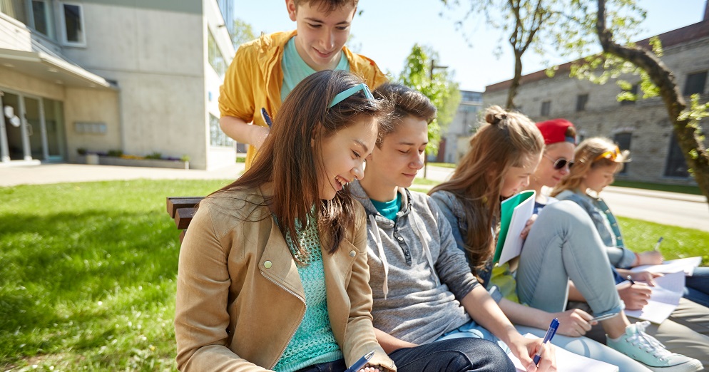 Alternative pathways for year 12 students