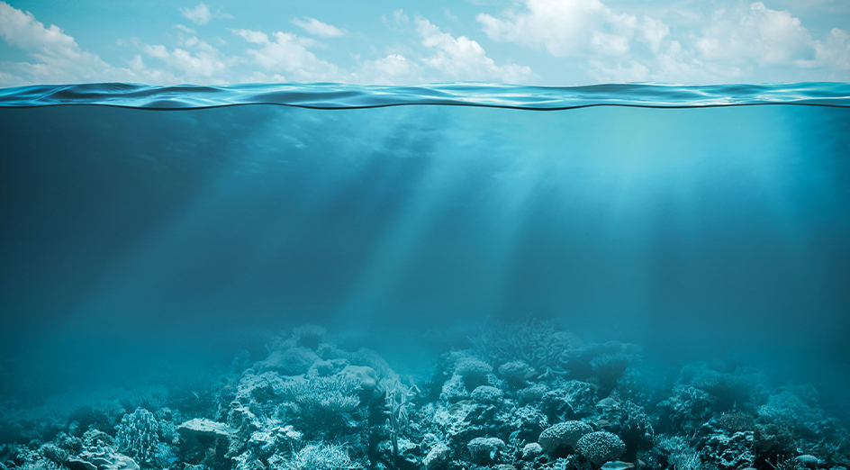 New research centre to accelerate ocean conservation | Mirage News