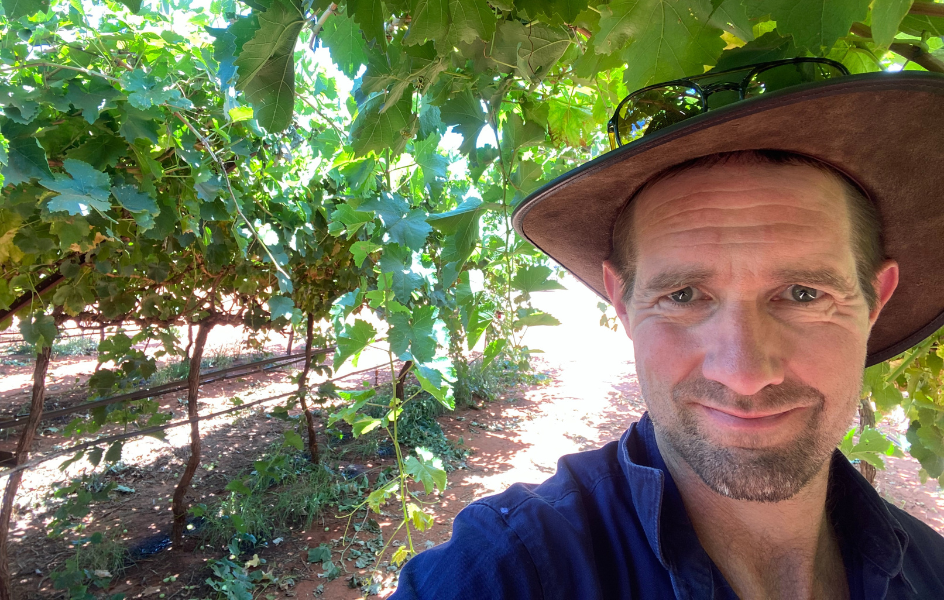 Table grape industry ripe for growth in Northern Australia