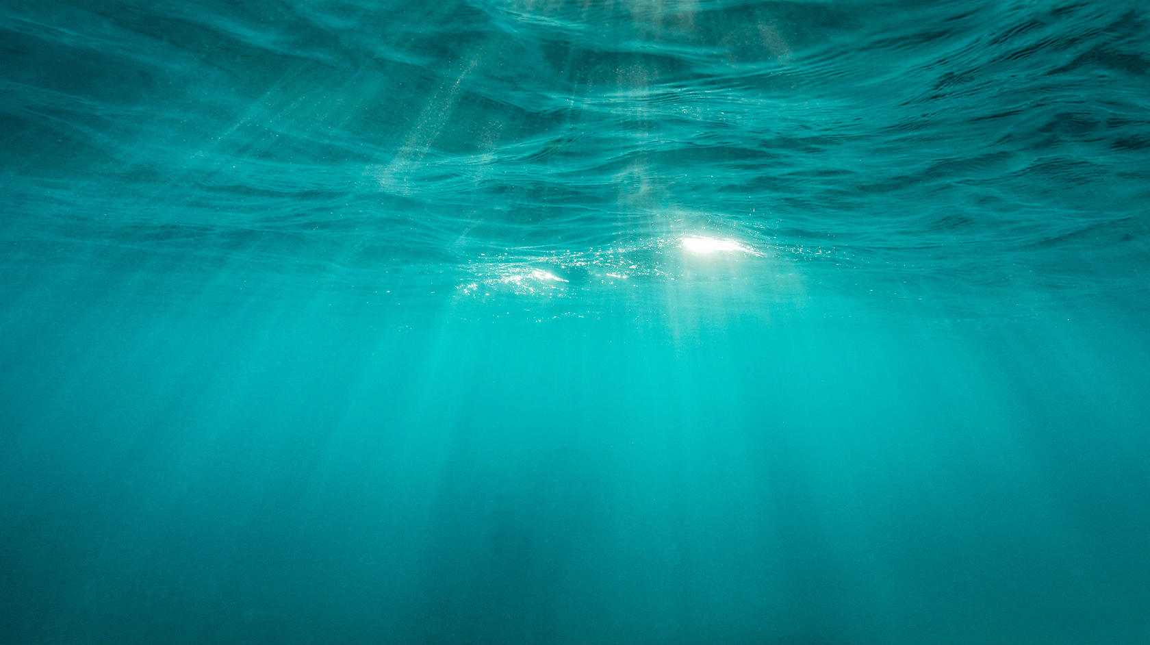 Researchers map deep ocean environment in remote Arnhem Land