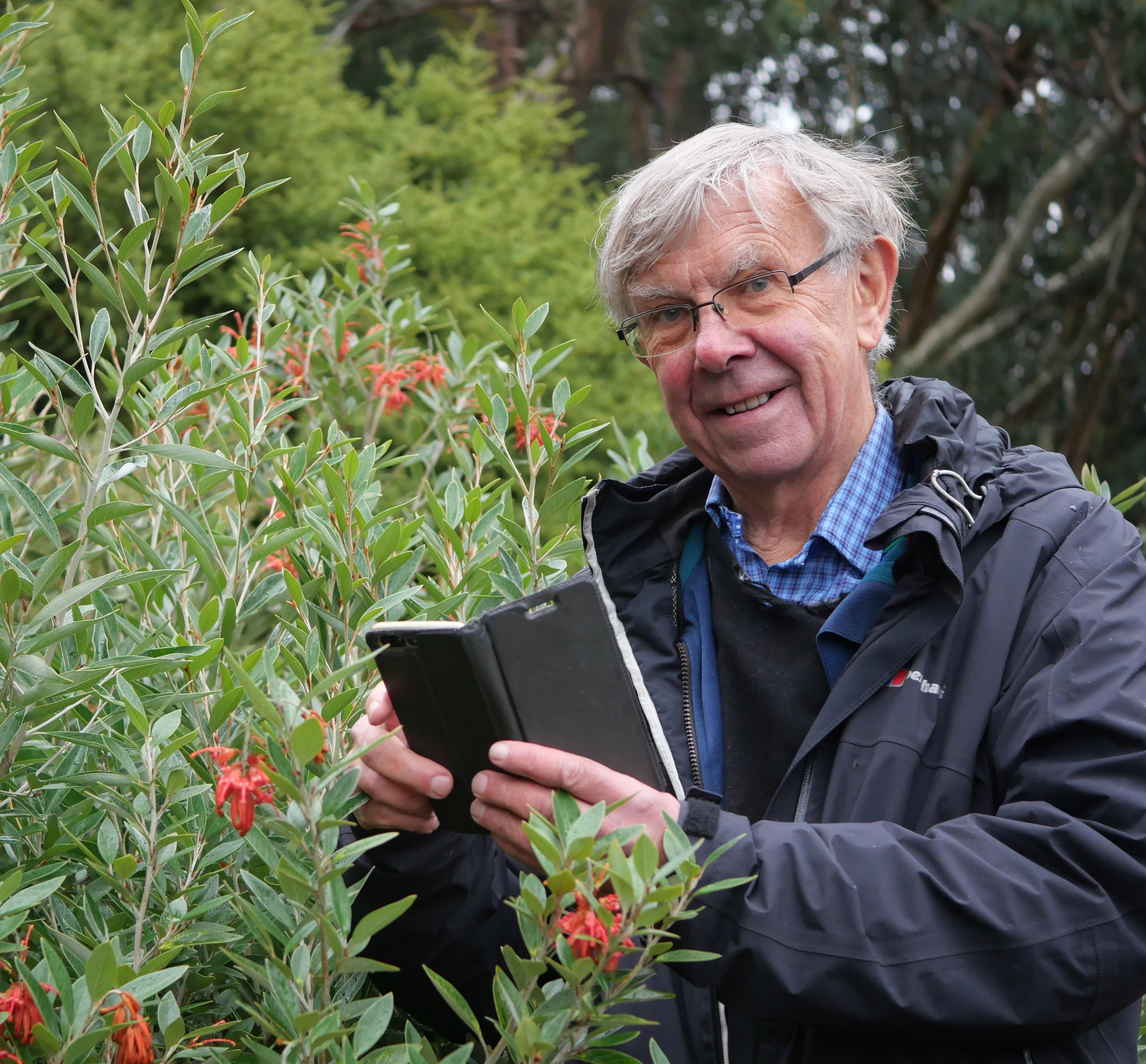 Plant Identification App Australia Flower Identification App Vtwctr Plant Identification App Australia Flower Identification App Vtwctr