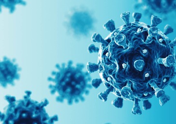 virus_1680x942-364_x_256.jfif