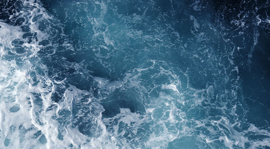 Study finds ocean 'dead zones' getting bigger