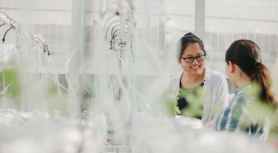 Growing Australia’s future