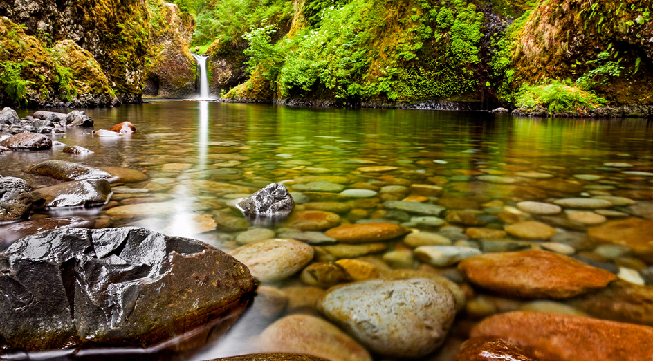 Value of nature goes beyond economic growth indicators