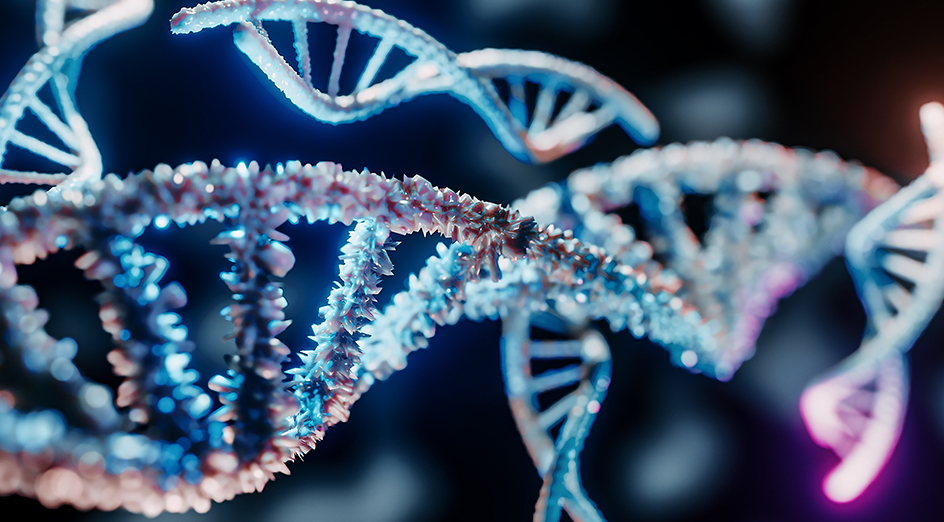 Australia has led the way regulating gene technology for over 20 years ...