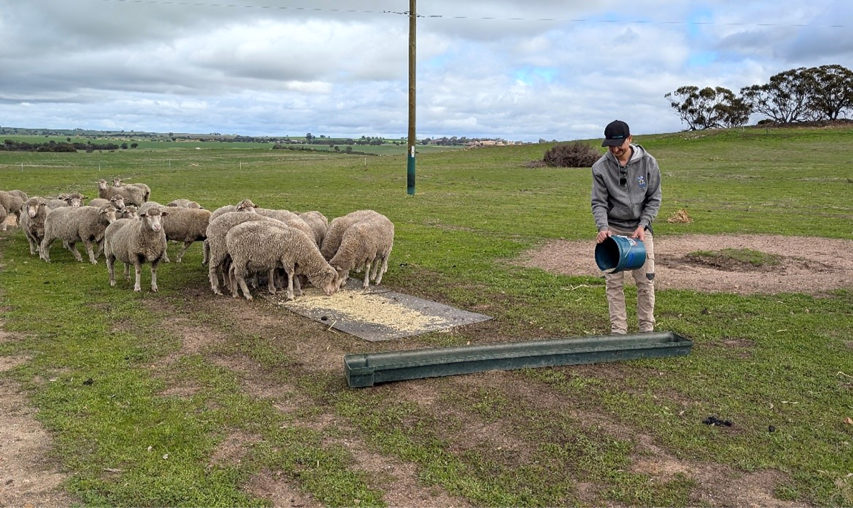 Anti-methane Solutions Receive Grant Boost | Mirage News