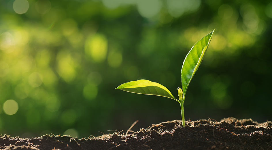 Breaking ground for ecosystem knowledge-sharing