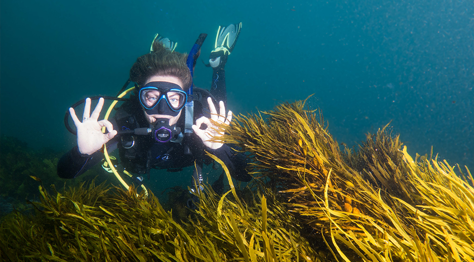 Genetic tool to help restore marine ecosystems