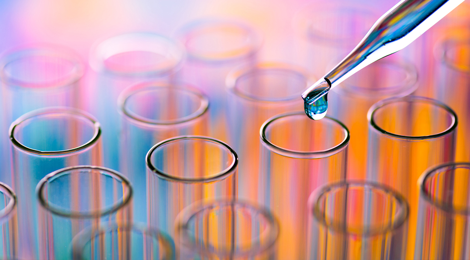 School of Molecular Sciences : The University of Western Australia