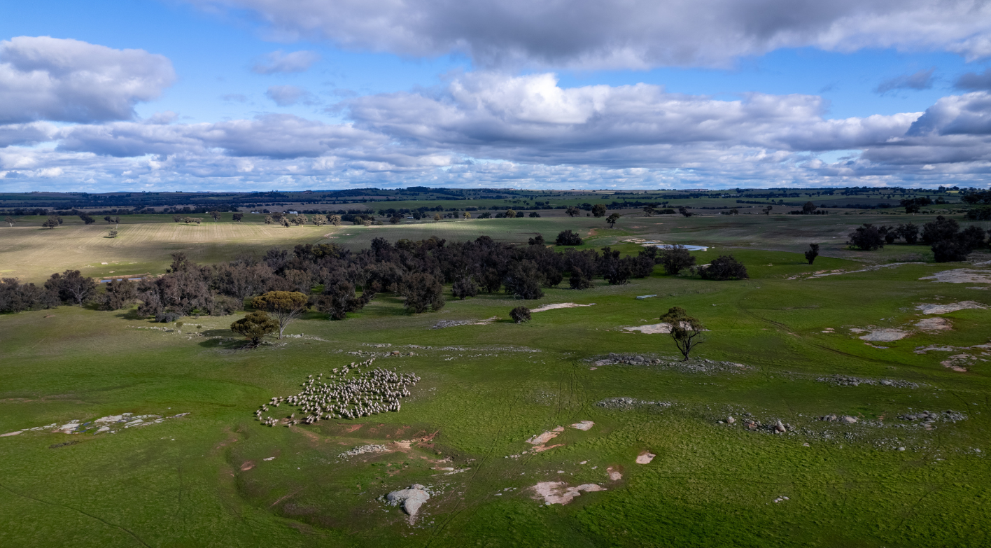 UWA School of Agriculture and Environment : The University of Western ...