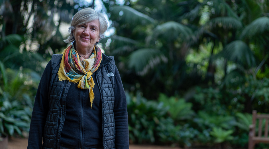 Rock star: archaeologist awarded prestigious Fellowship
