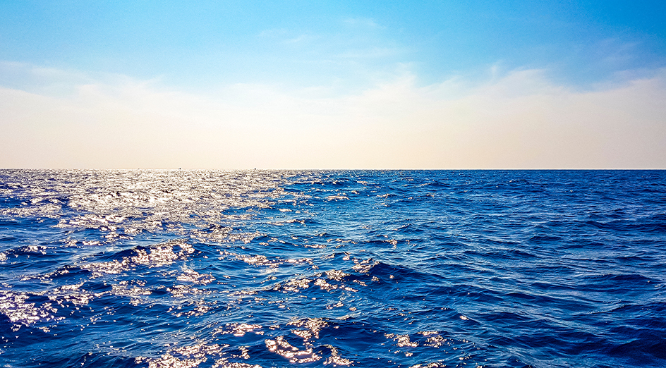 Rare Deep-sea Dives Reveal What Shapes Biodiversity In Japan's Trenches ...