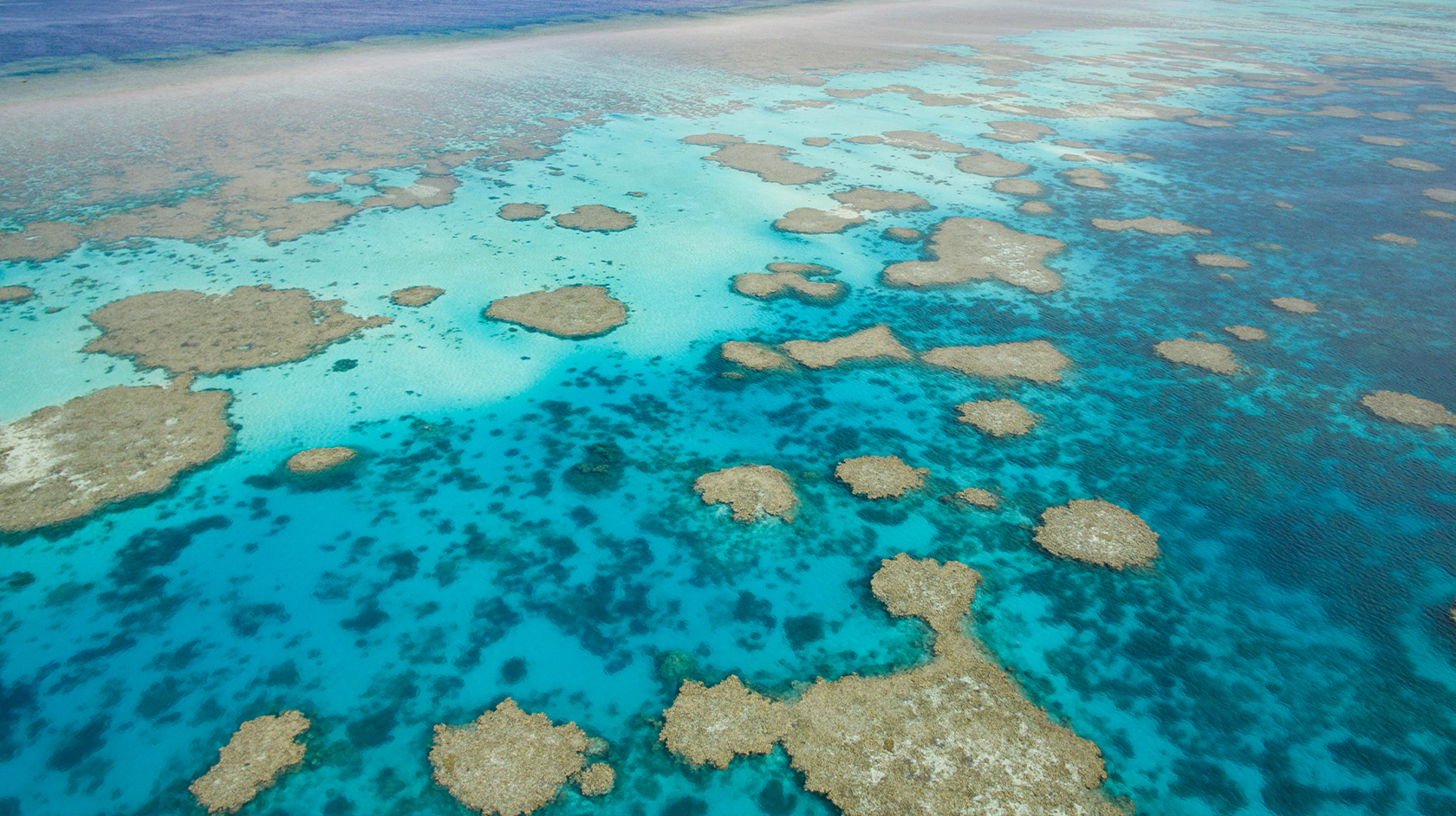 Drones offer new perspective on vulnerable tide-exposed coral reefs