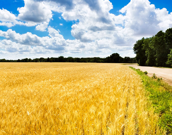 Regional Training Hub's