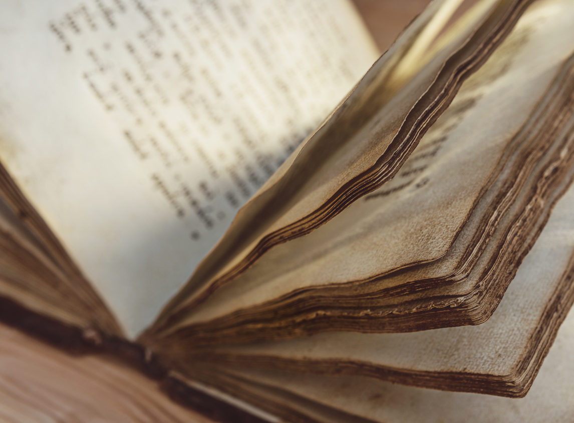 Translation and Transcultural Research Cluster : The University of ...