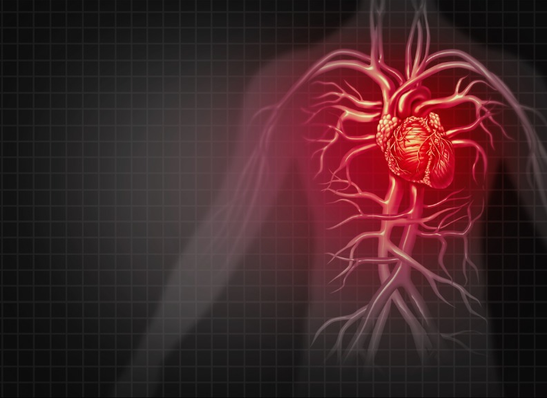 Cardiovascular and Respiratory Sciences : The University of Western ...