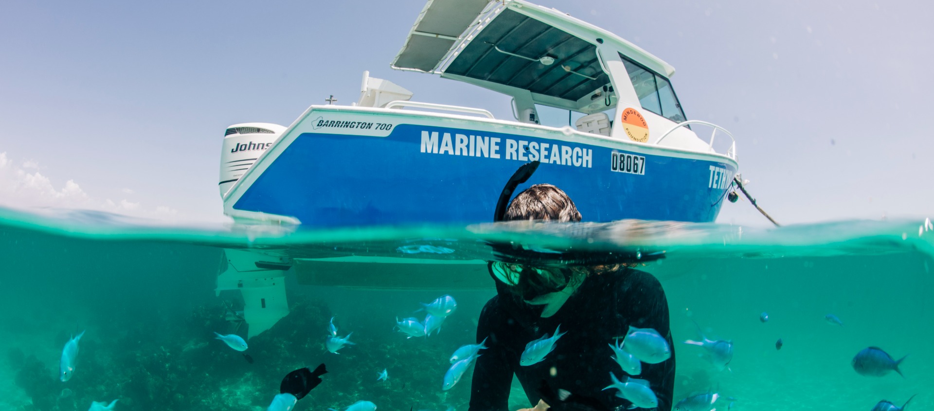 School of Biological Sciences : The University of Western Australia