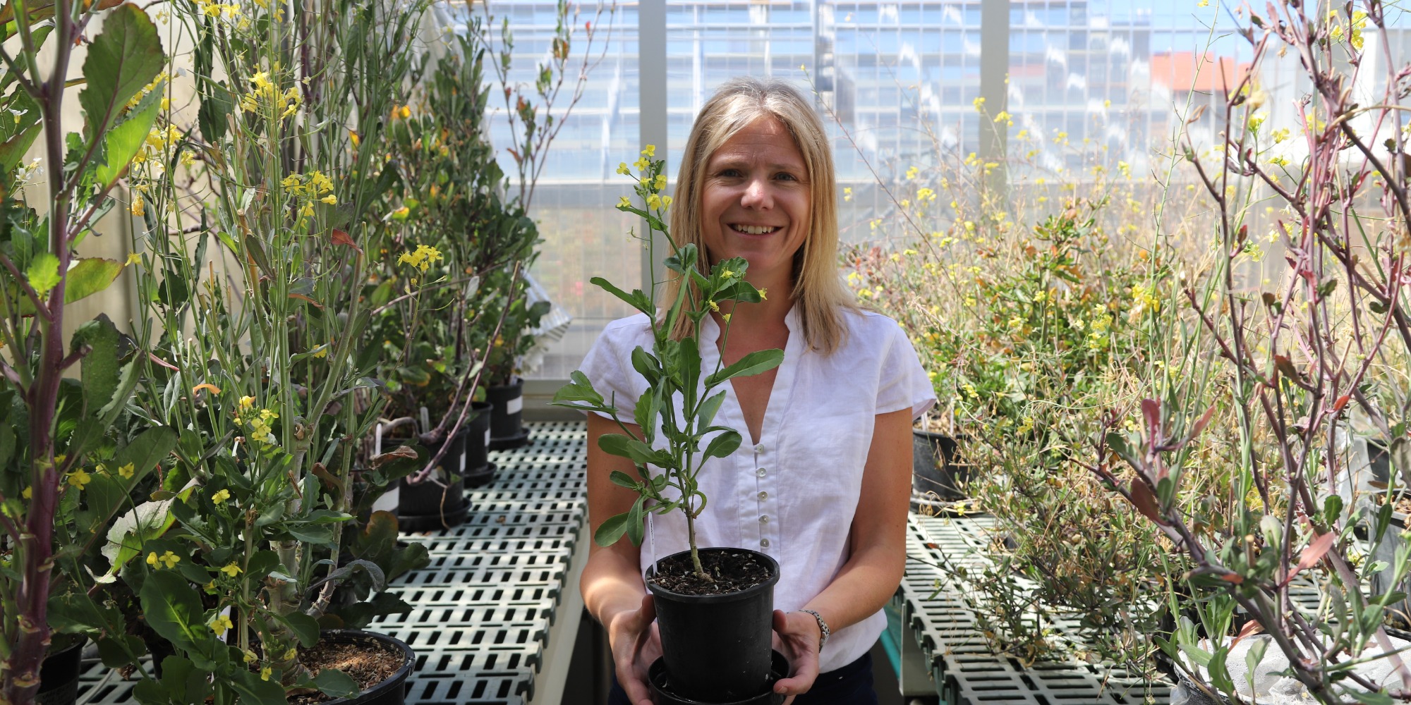 School of Biological Sciences : The University of Western Australia