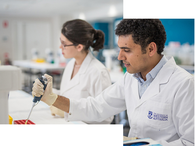 Medical School : The University of Western Australia