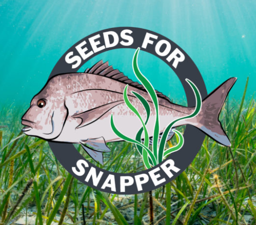 Seeds For Snapper : The University of Western Australia