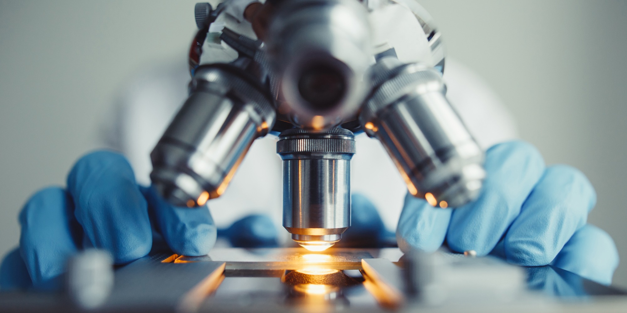 School of Molecular Sciences : The University of Western Australia