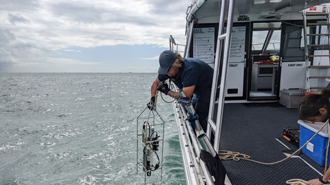What to study if you want to work on ocean challenges