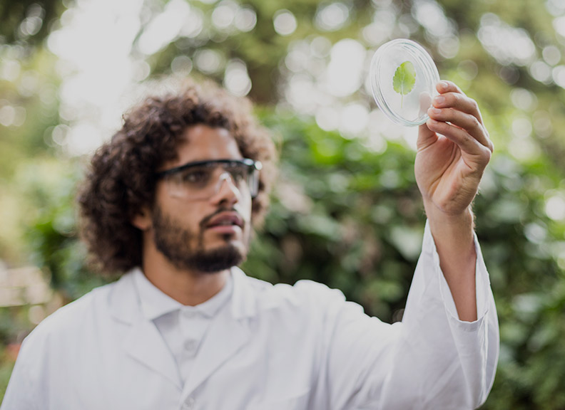 Master of Biological Science : The University of Western Australia