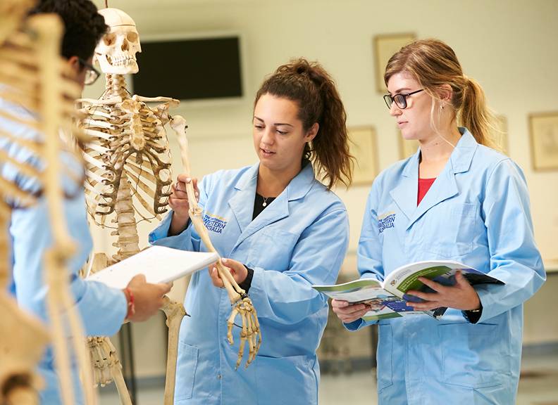 Bachelor of Science (Integrated Professional) : The University of ...